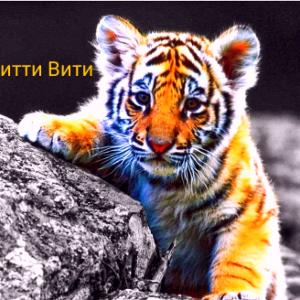 Иконка канала Кити Вити
