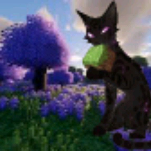 Иконка канала just a cat†★♪♠♣∞