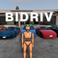 Иконка канала Bidriv