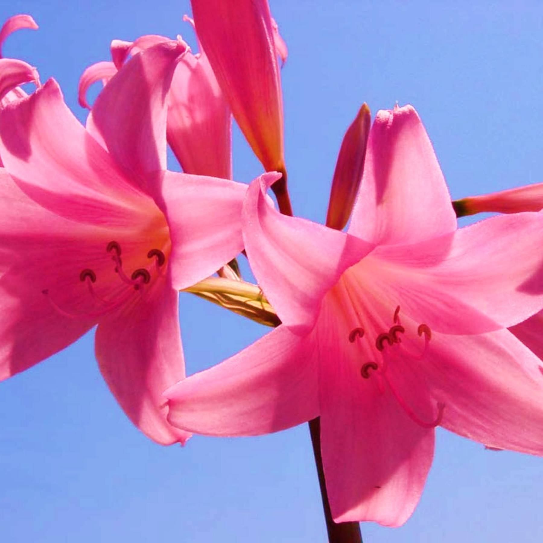 Иконка канала Талызина Татьяна ( Татиана )