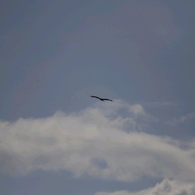 Иконка канала CITY OF YOUTH. ОСОБОЕ МНЕНИЕ