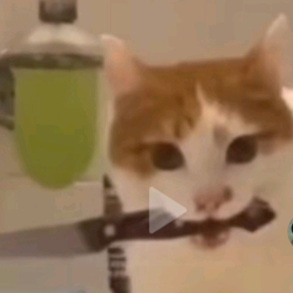 Иконка канала Котёна Standoff🐱😺