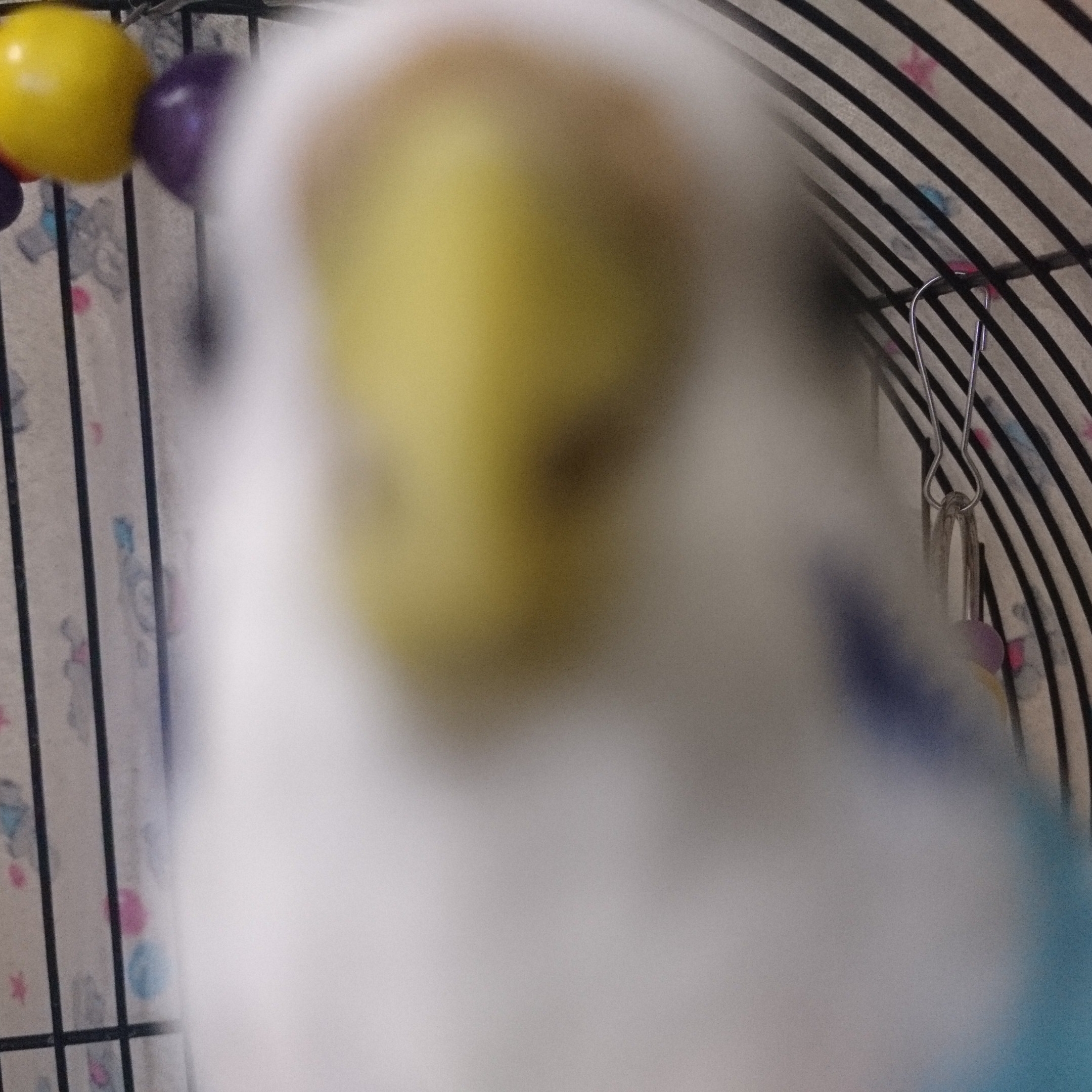 Иконка канала ВОВЖАР