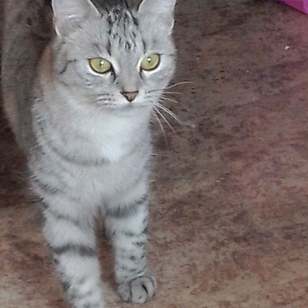 Иконка канала Супер Павел