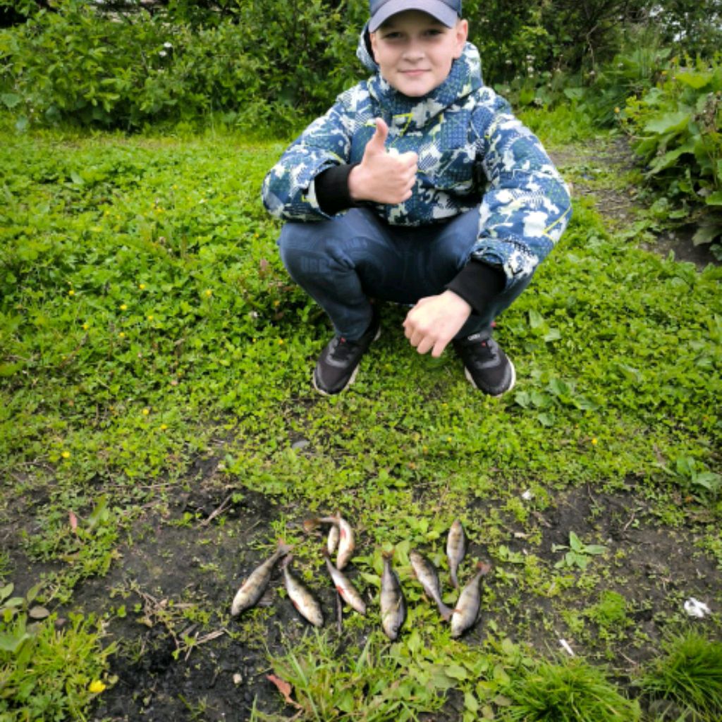 Иконка канала channel67483905