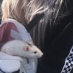 Иконка канала Мирон98