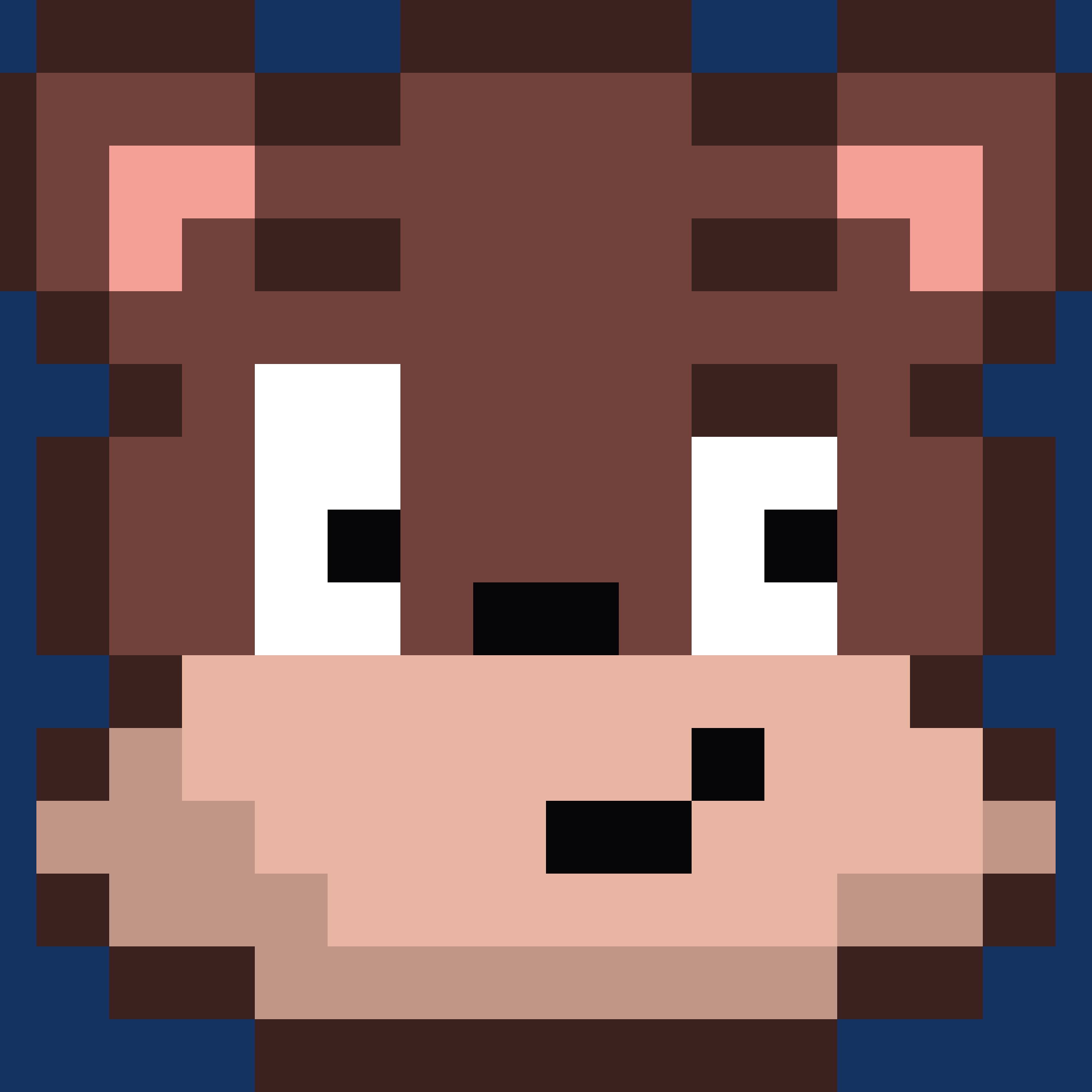 Иконка канала BearBro