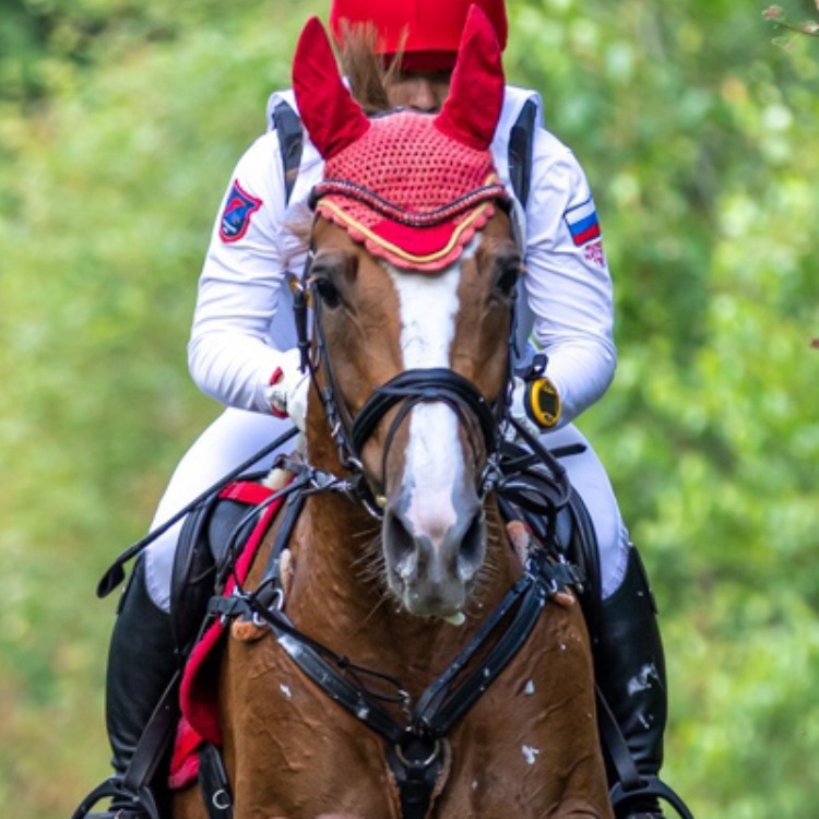 Иконка канала Конный спорт- это красиво 😍