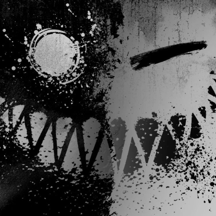 Иконка канала HYSON