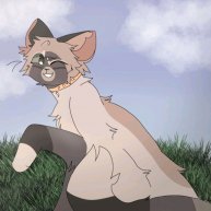 Иконка канала Warrior cats_marten