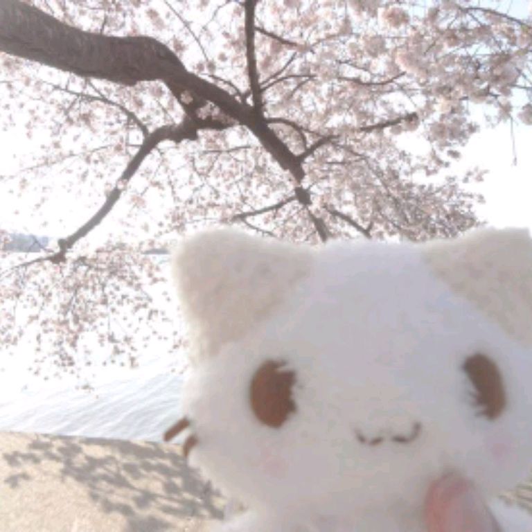 Иконка канала ˚₊‧꒰აsᴏɴɴɪxx໒꒱ ‧₊˚
