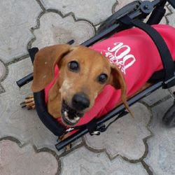 Иконка канала ММ2012