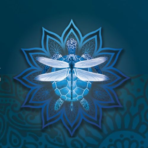 Иконка канала ViGraha