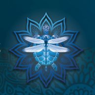 Иконка канала ViGraha