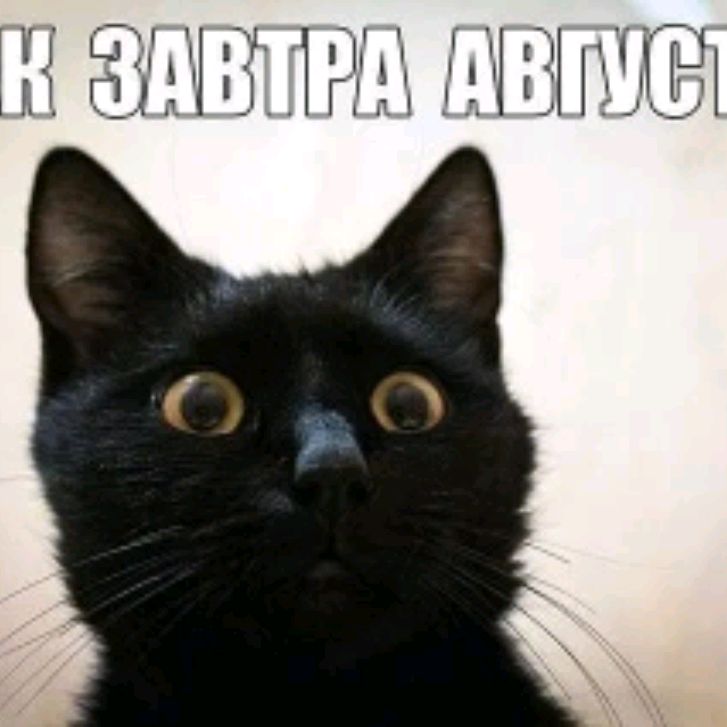 Иконка канала channel67625417