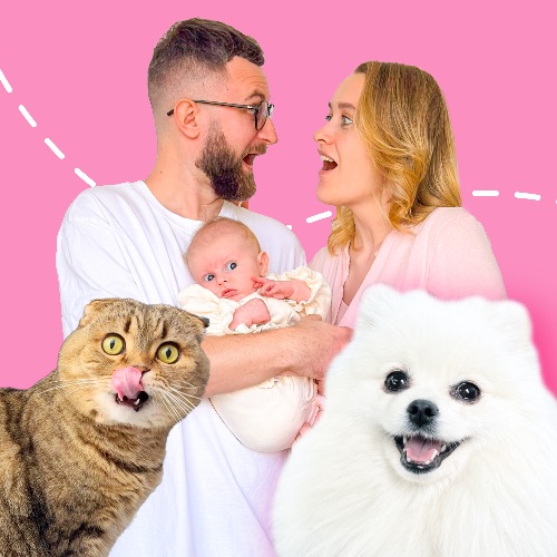 Иконка канала CassyTheBear