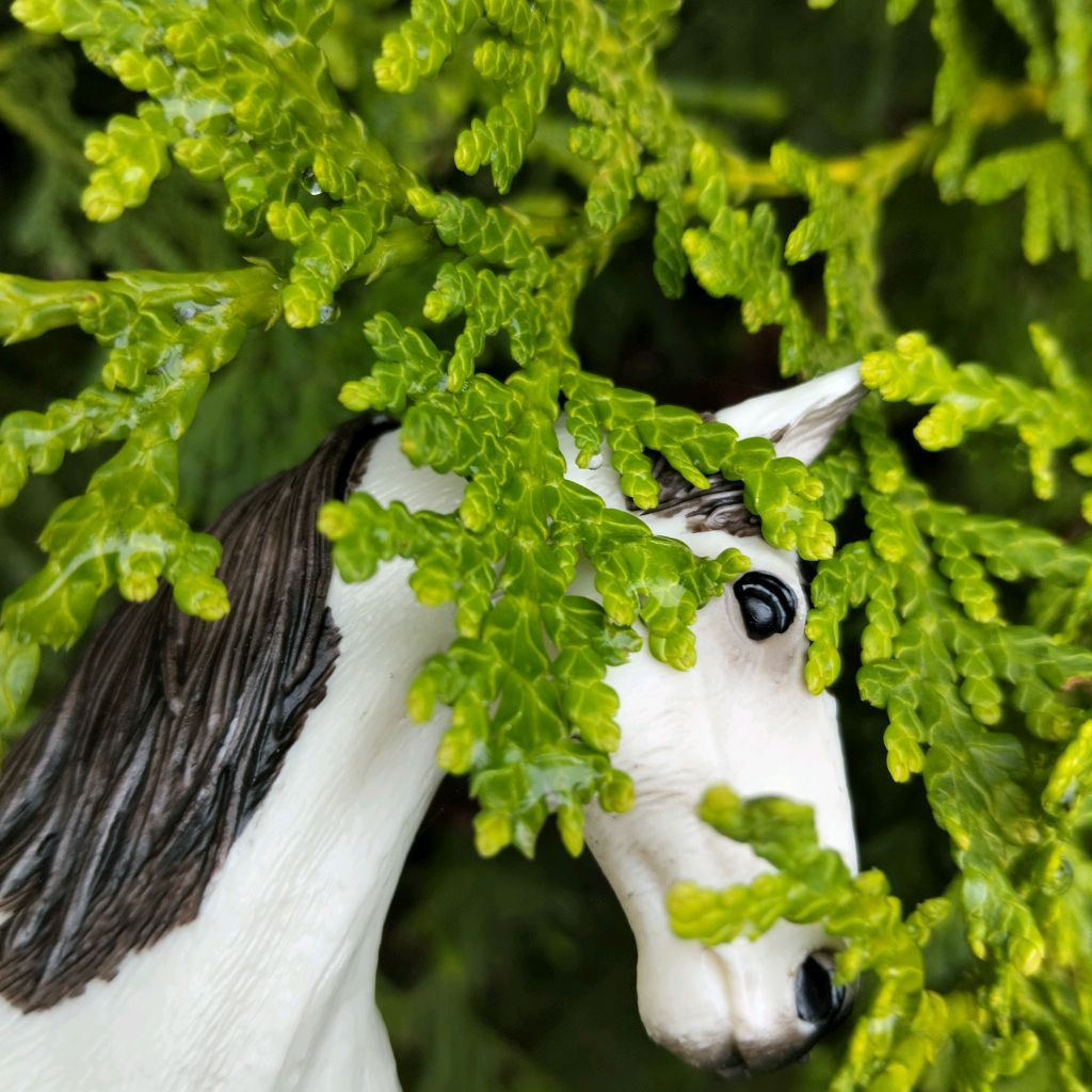 Иконка канала Конный Клуб ,, КСК Сакура "🐴🌸