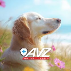 Иконка канала AVZ