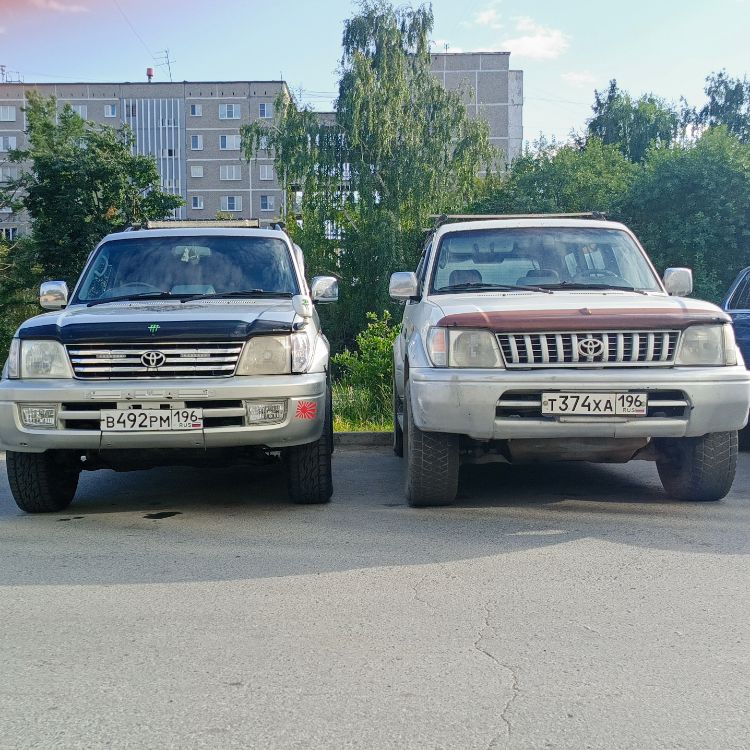 Иконка канала Monster