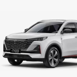 Иконка канала Мой Чанги