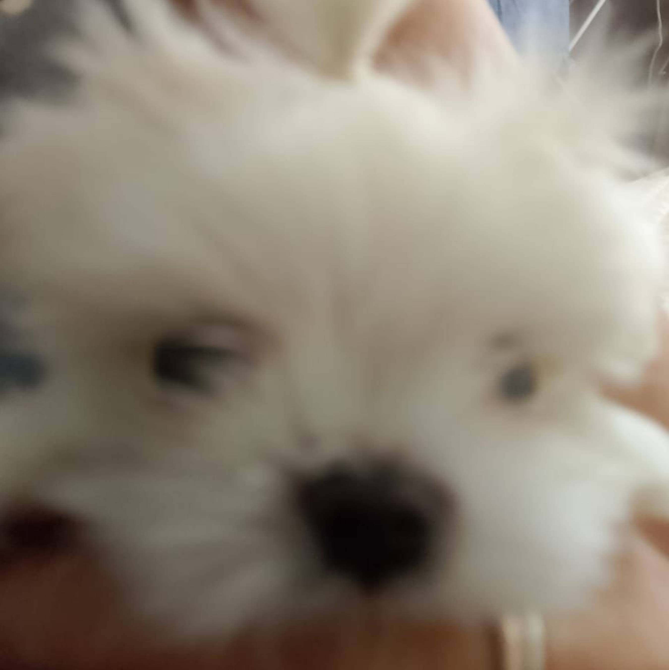 Иконка канала Сёма про