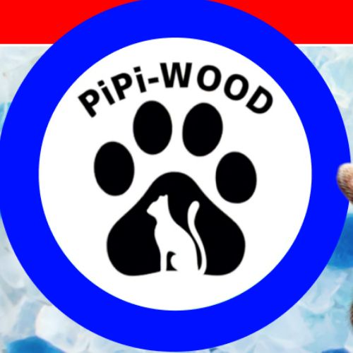 Иконка канала PiPiWOOD
