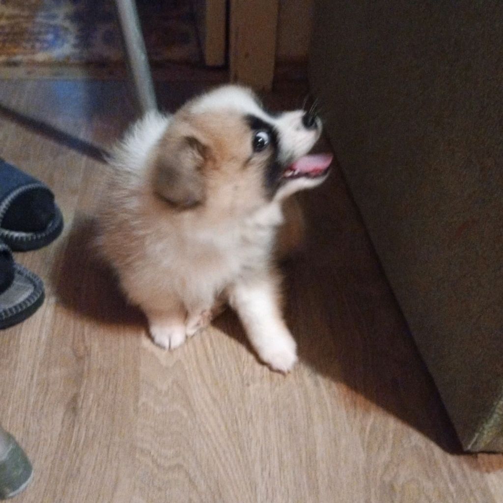 Иконка канала Диор