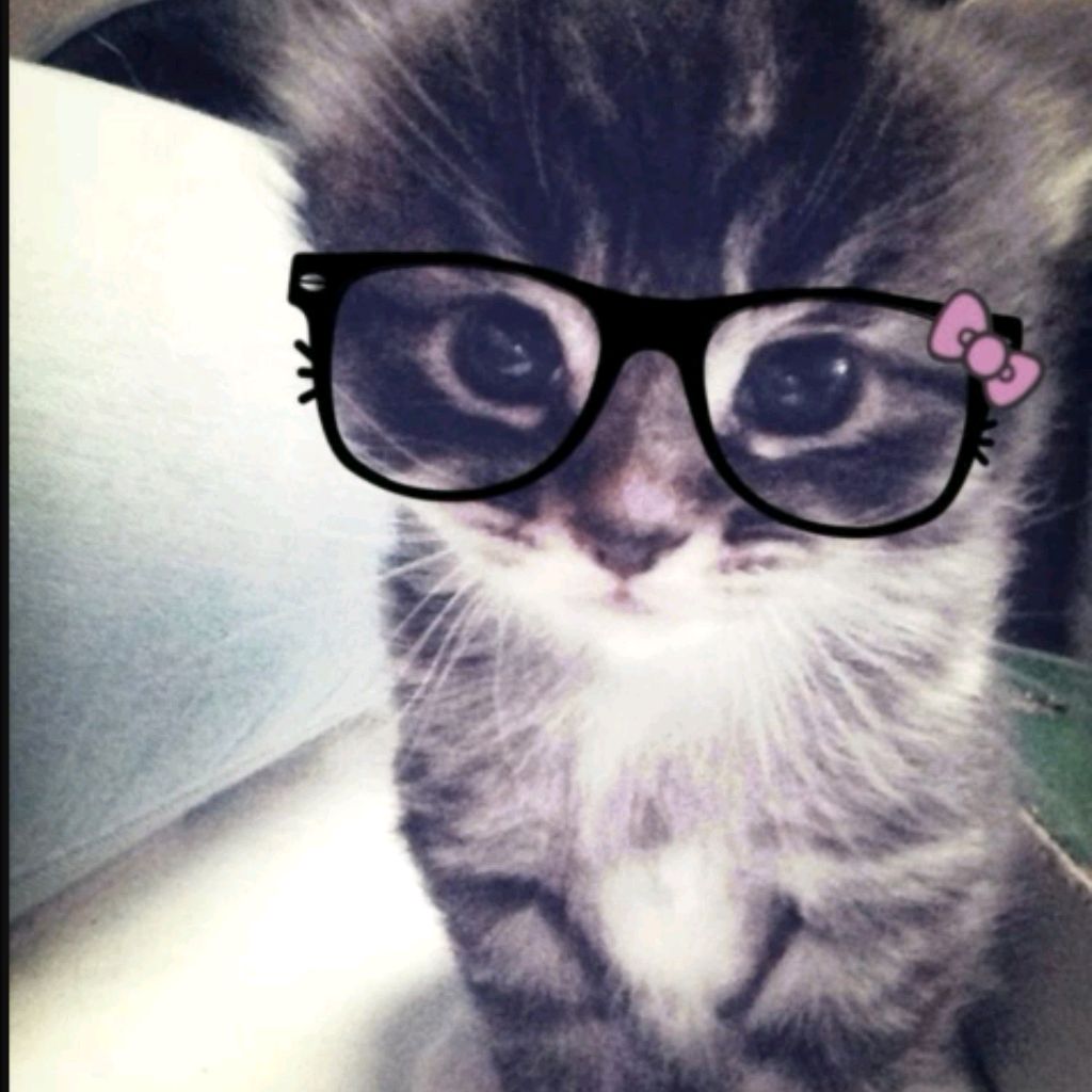 Иконка канала 🔪𝚜𝚘𝚗𝚒𝚔𝚜𝚜𝚜𝚜𝚜𝚜𝚜𝚜🖤