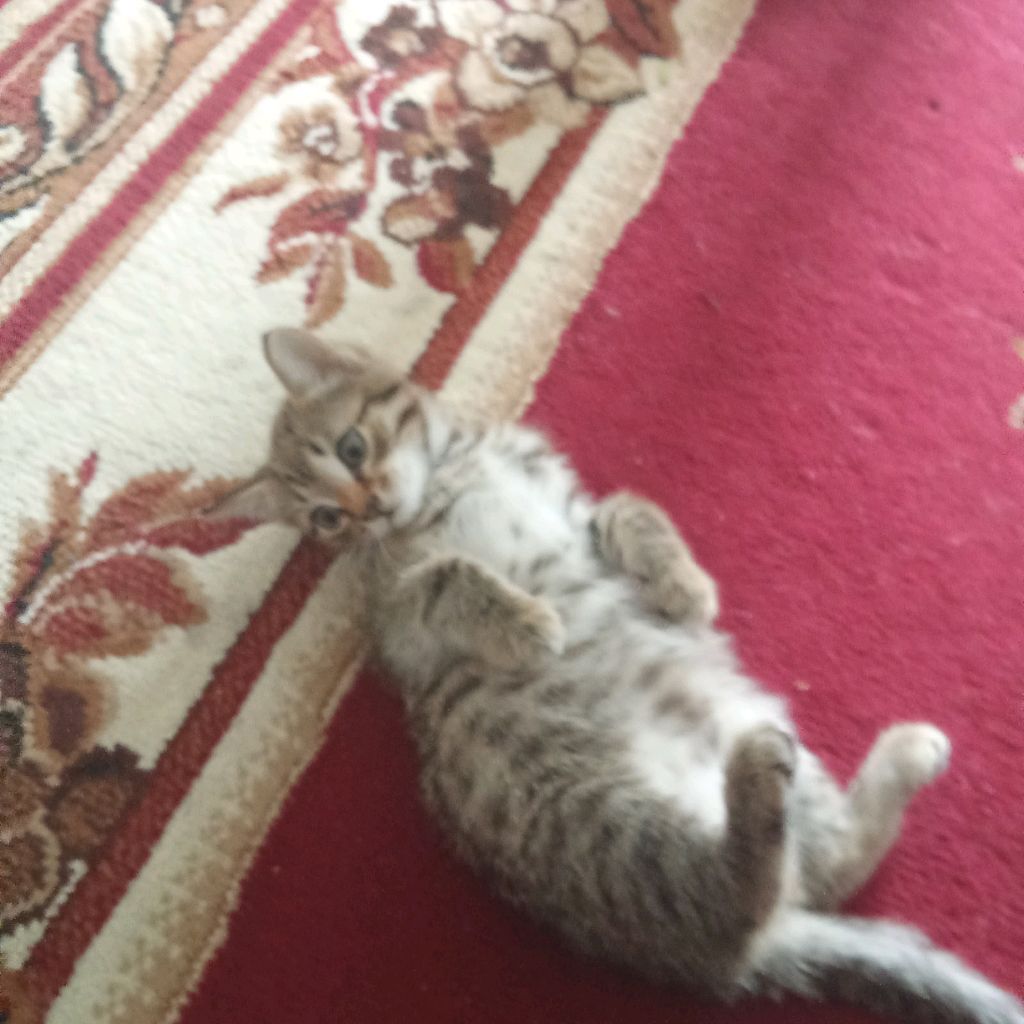 Иконка канала ❤️Полина Малина 🍓