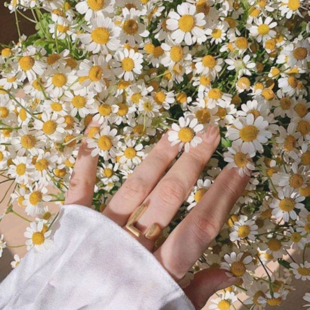 Иконка канала 𝕃𝕠_𝕧𝕖