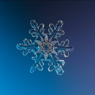 Иконка канала Камомæ 鴎