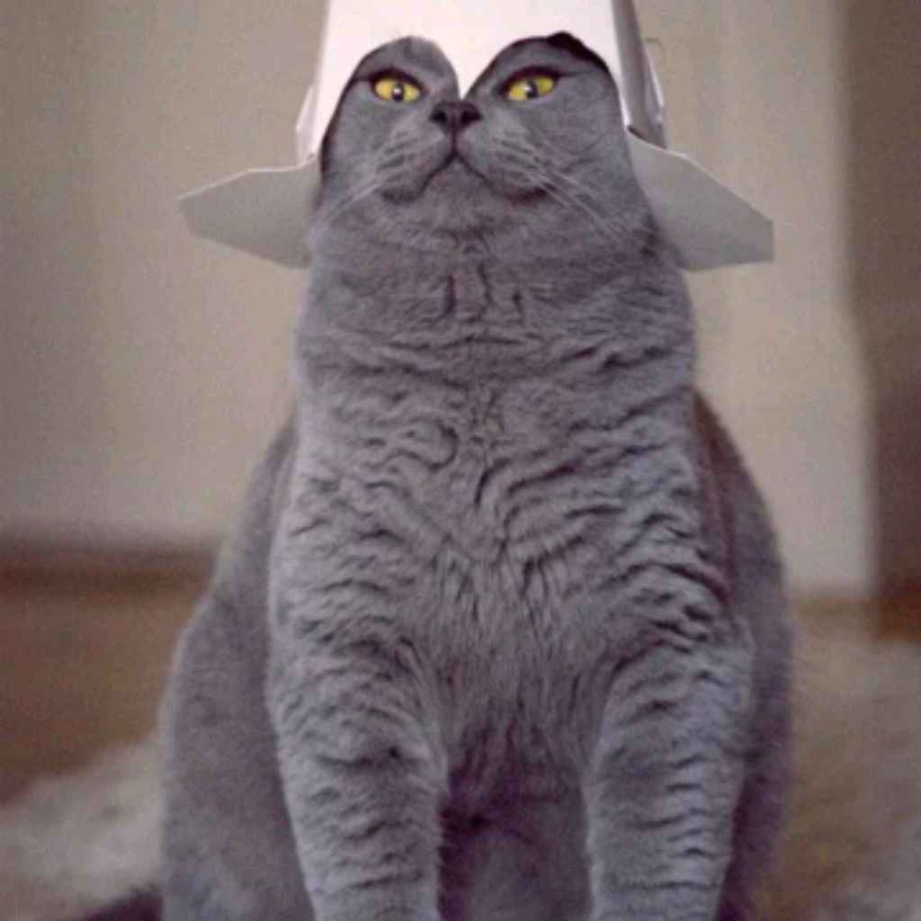 Иконка канала Котик мотик