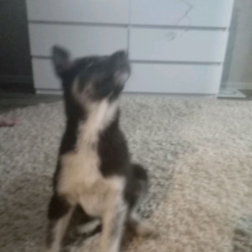 Иконка канала @andrey.455