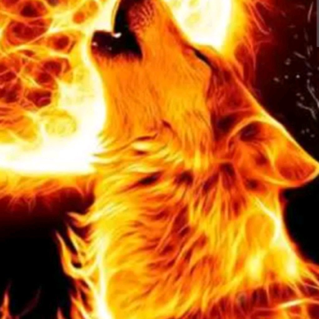Иконка канала Fire-wolf 🐺