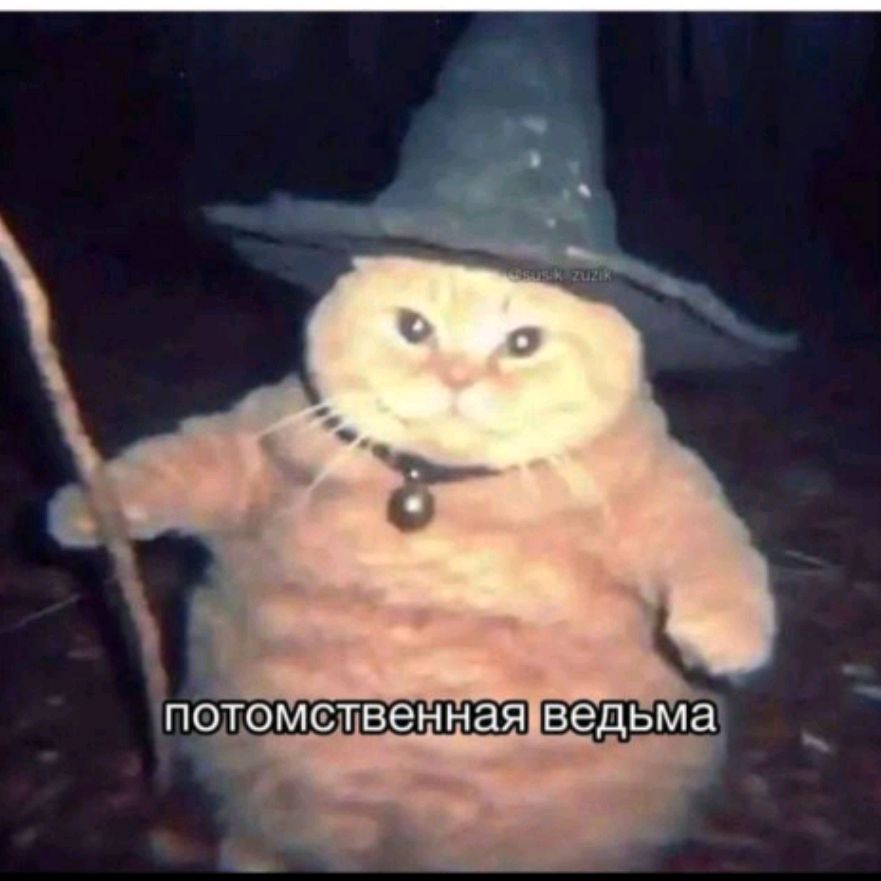 Иконка канала Монеточка Крут