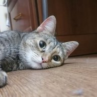 Иконка канала Тимофей