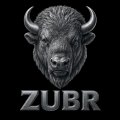 Иконка канала ZUBR - Сила древнего - голосом рока🤟!
