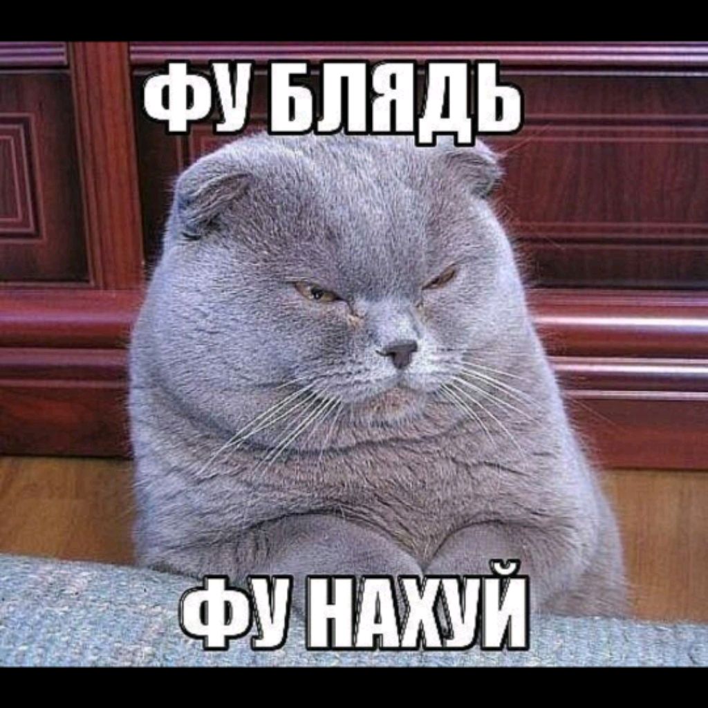 Иконка канала Человек который не знает что снимать