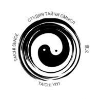 Иконка канала taichismysl