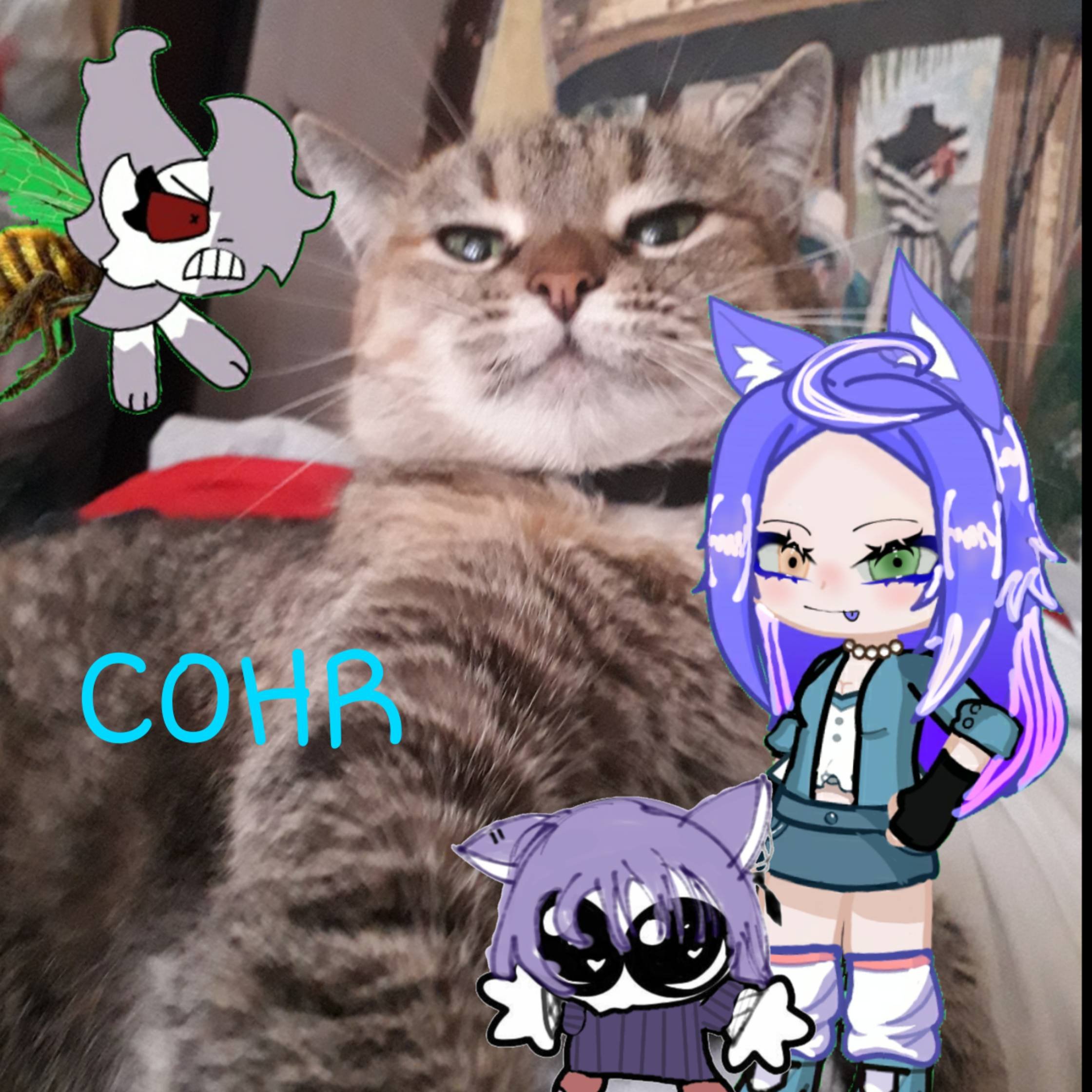 Иконка канала `{COHR}`
