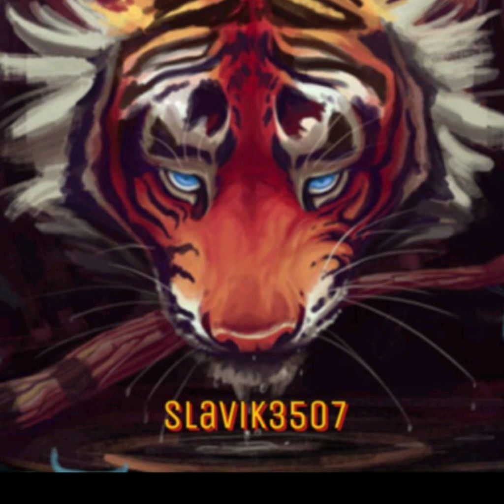 Иконка канала Slavik3507 Official