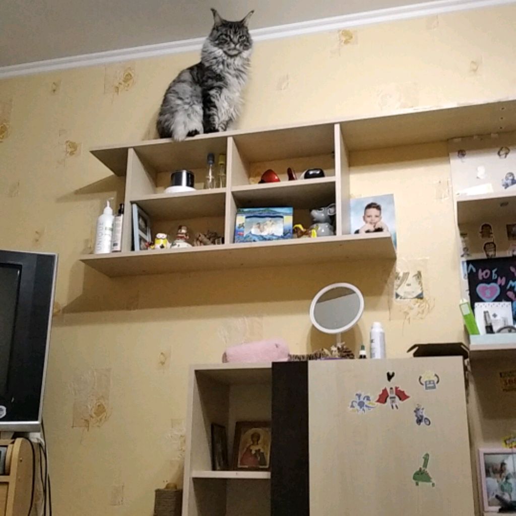 Иконка канала channel47563530