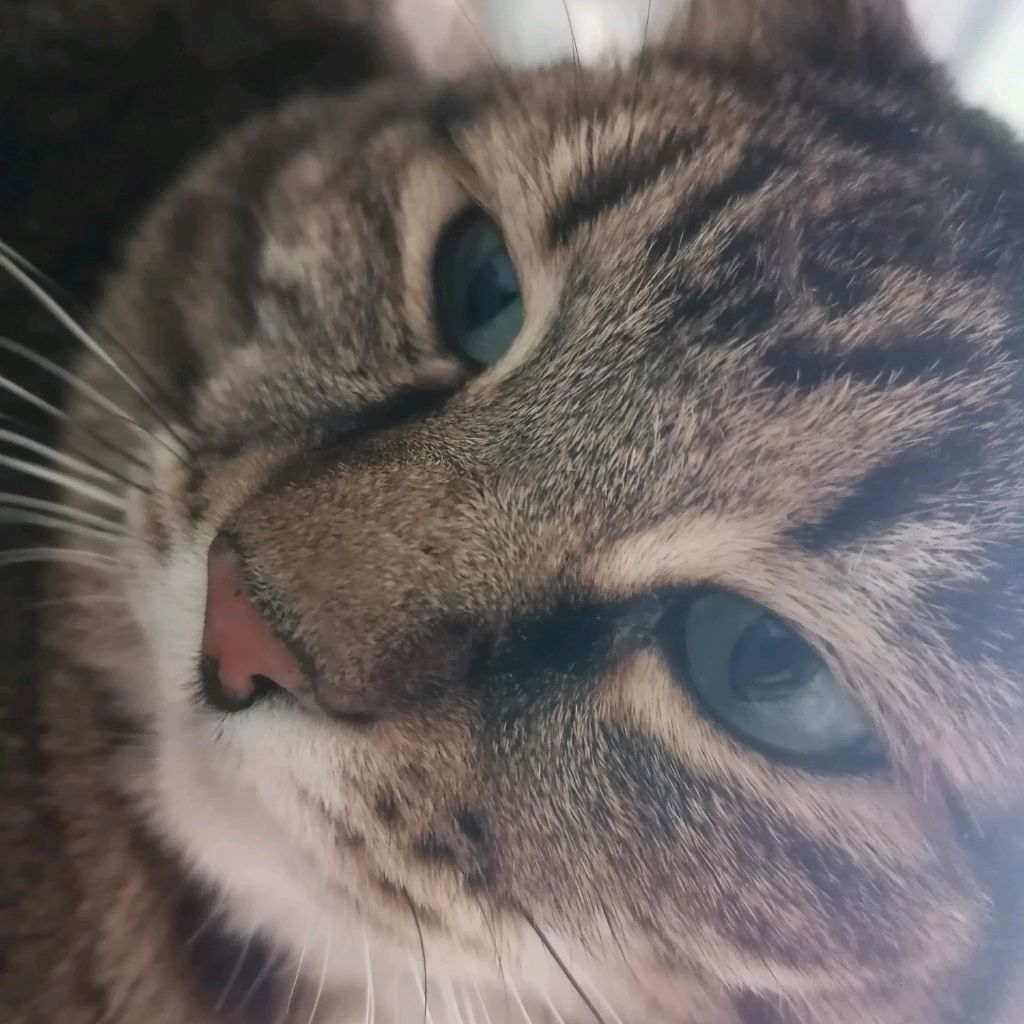 Иконка канала ¡¡¡Тимоха¡¡¡