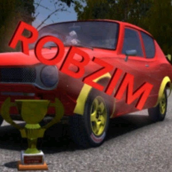 Иконка канала ROBZIM