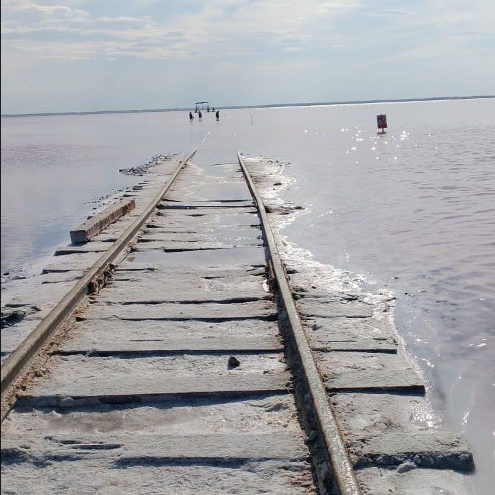 Иконка канала Автопешеход