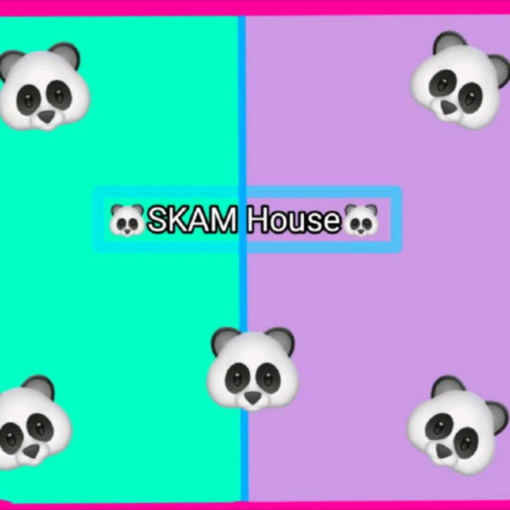 Иконка канала 🐼SKAM House🐼