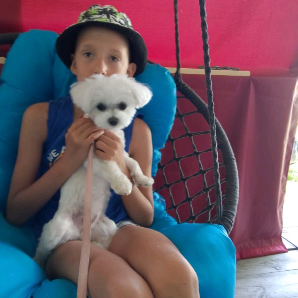 Иконка канала Maximus_nikus