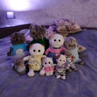 Иконка канала basik_go❄️🎄