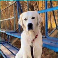 Иконка канала richi.YT (ССЫЛКА НА YouTube и TG КАНАЛЫ В ОПИСАНИИ