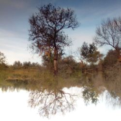 Иконка канала Александр АФК